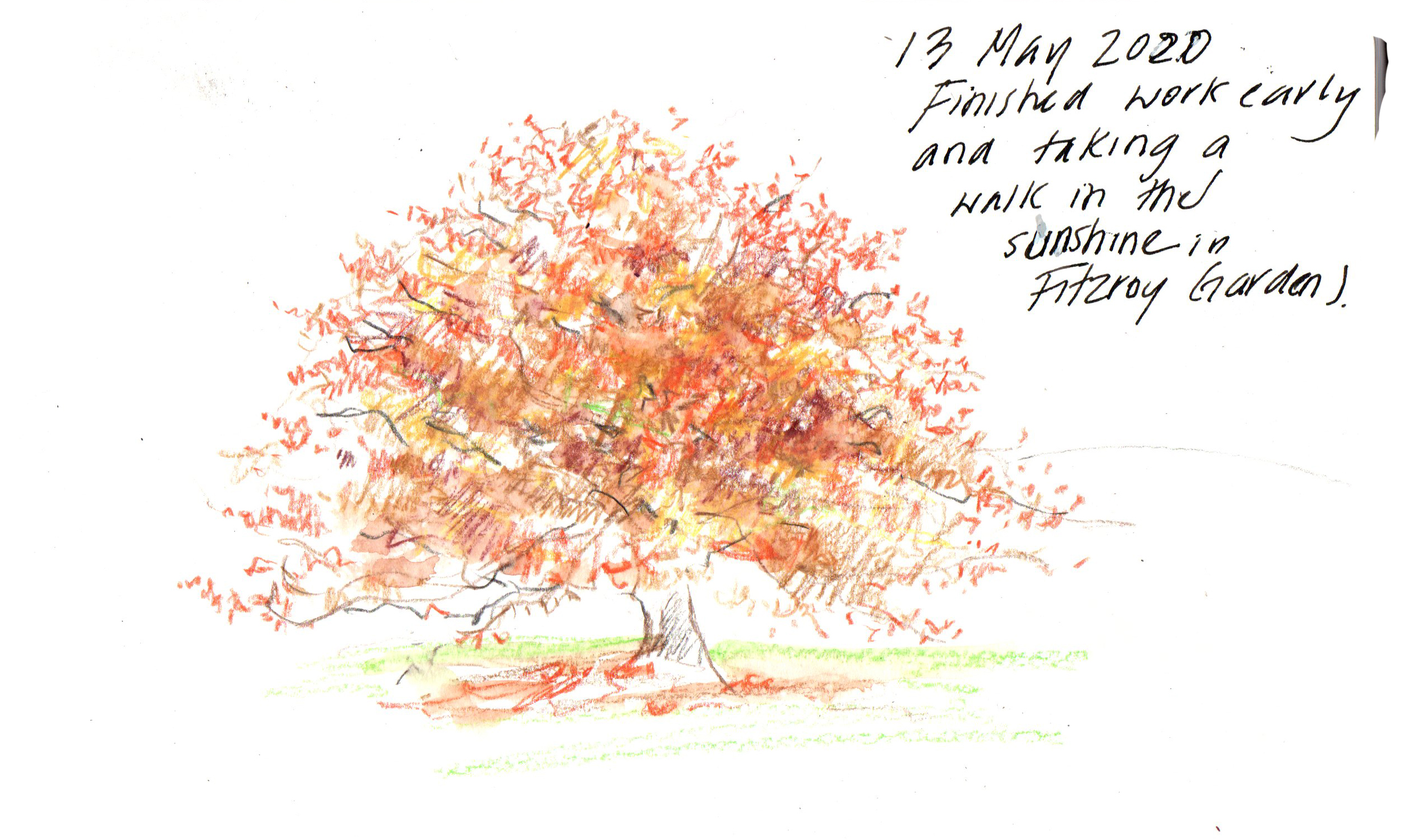 oak tree through the seasons - alissa duke